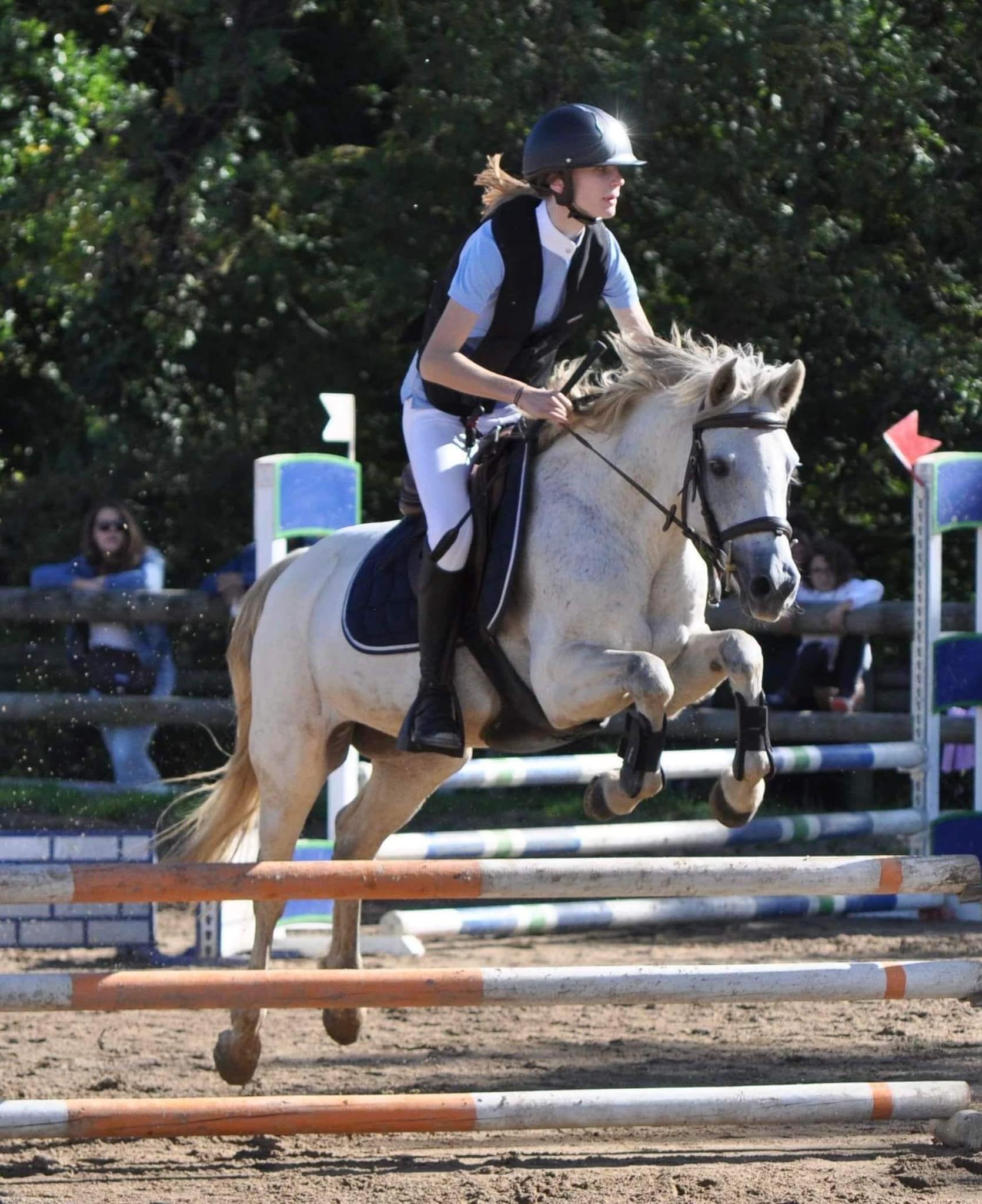 CSO équitation La Talaudière - Cours CSO